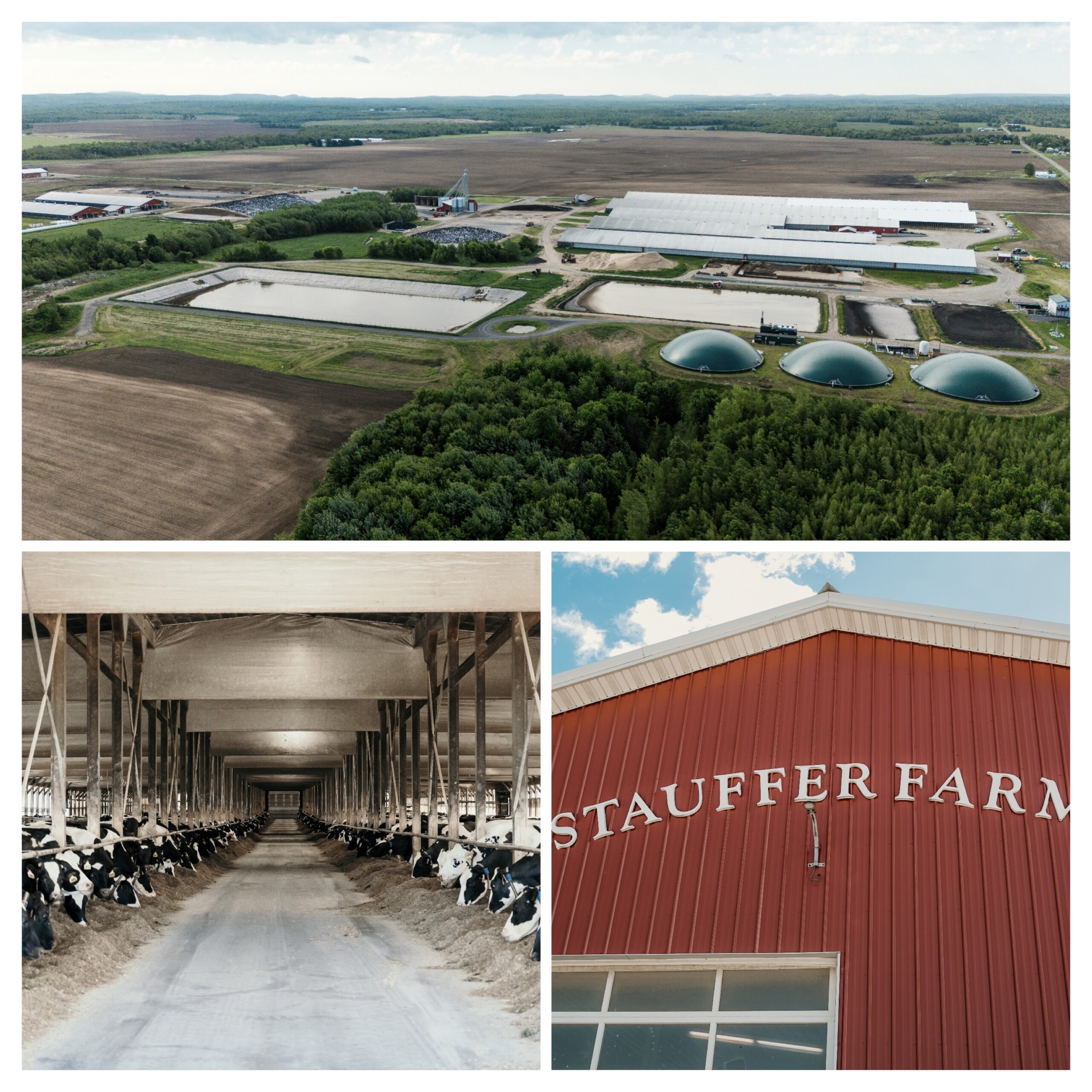 LF Bioenergy’s RNG Facility at Stauffer Farms: A Year of Clean Energy ...