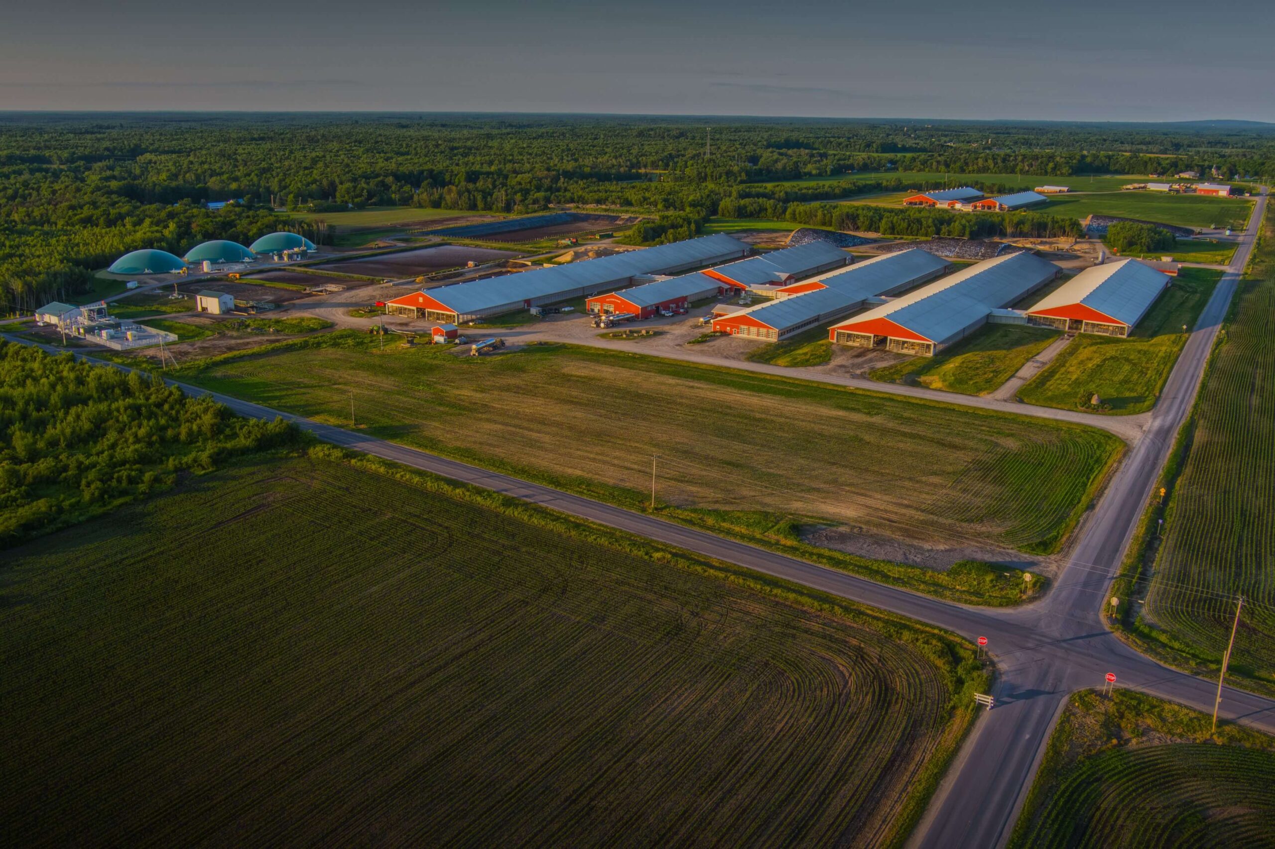 Stauffer Farms - LF Bioenergy